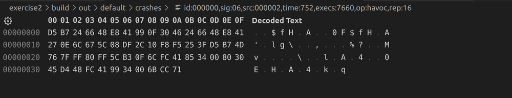 Fuzzing 学习笔记：fuzzing Module 练习