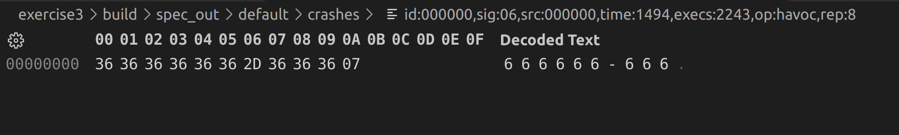 Fuzzing 学习笔记：Fuzzing Module 练习