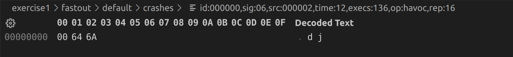 Fuzzing 学习笔记：fuzzing Module 练习 